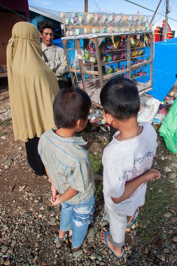 Two Boys are Watching Colorful Birds in a Wooden Cage. Editorial ...