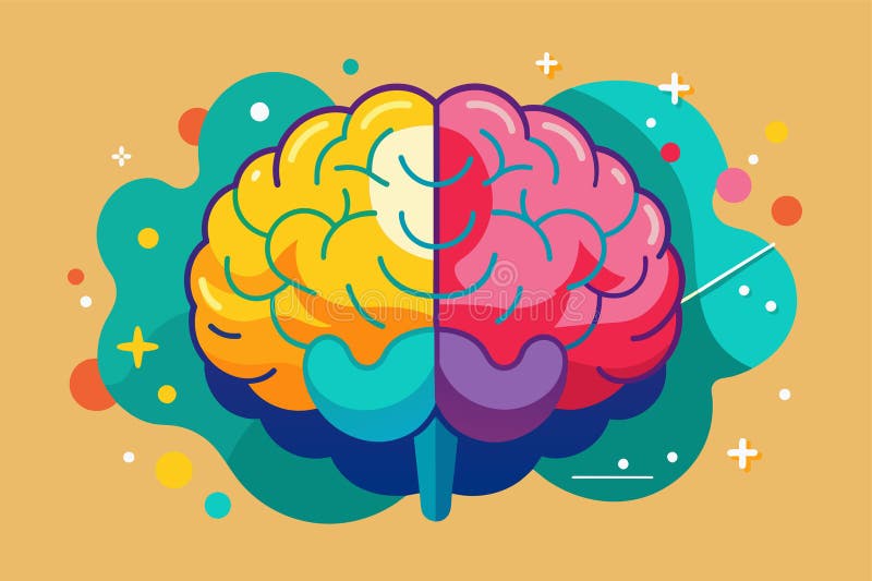 Two Brain Halves Shown in Different Colors, Illustrating a Unique and ...