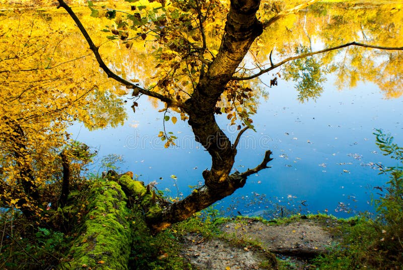 Reaching into the Azure Waters. Stock Image - Image of outdoors, golden ...