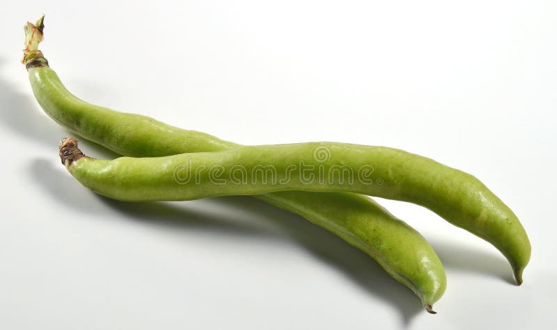 Two broad bean pods stock image. Image of seed, veggie - 77270389