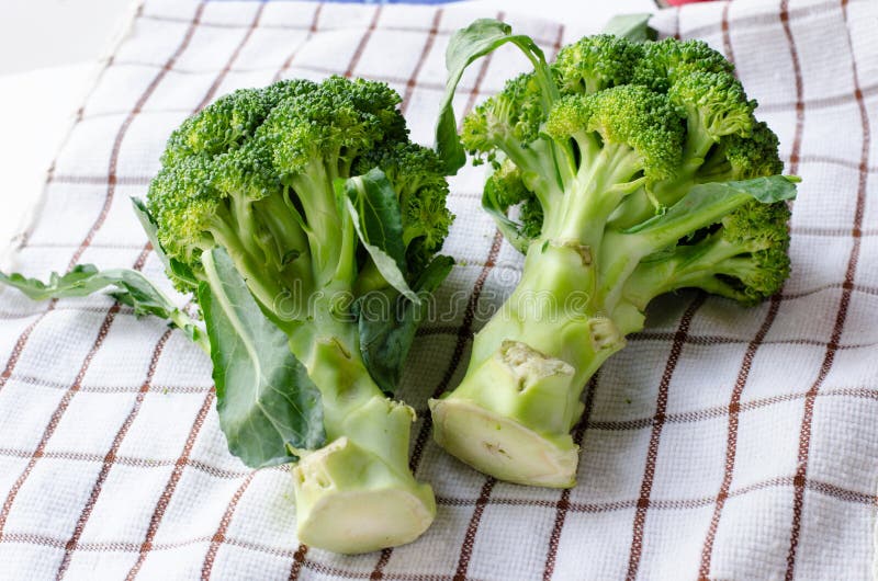 Two Broccoli stock photo. Image of bright, healthy, green - 32087430