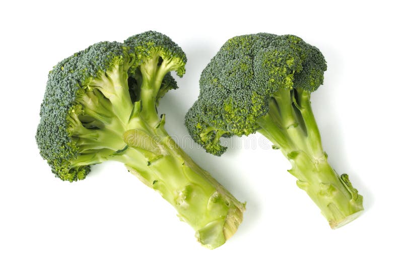 Two broccoli on white stock image. Image of isolated - 49993957