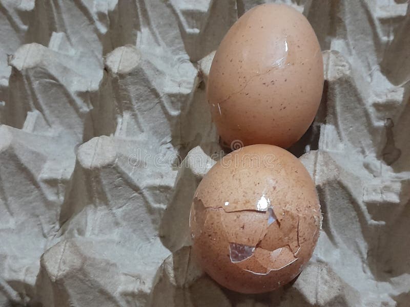 Two Egg Resting on the Lid Off Egg Cup on the Table Stock Image - Image ...