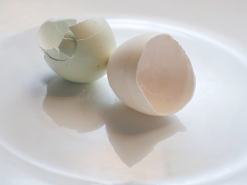 Egg Shell on a White Plate. Stock Image - Image of ingredient, broken ...