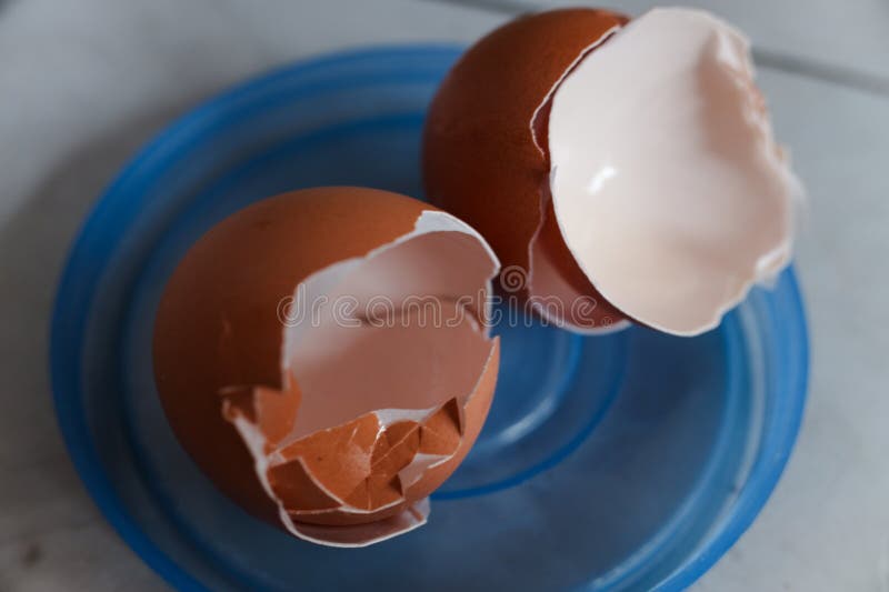 Two Broken Egg Shells, on a Blue Circular Container Stock Image - Image ...