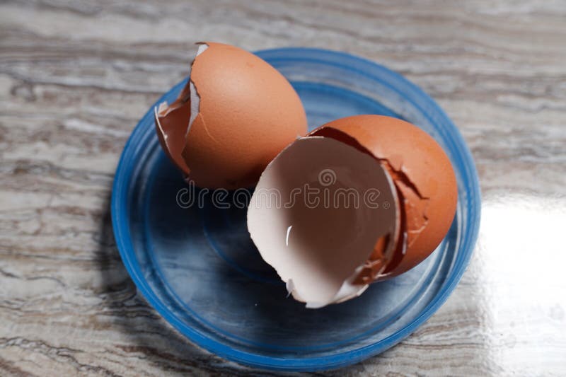 Two Broken Egg Shells, on a Blue Circular Container Stock Photo - Image ...