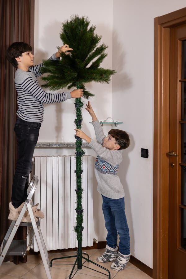 Two Brothers Assembling Christmas Tree in Cozy Home Interior Stock ...