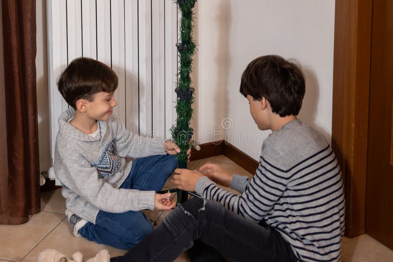 Two Brothers Installing a Christmas Tree in the House Stock Photo ...