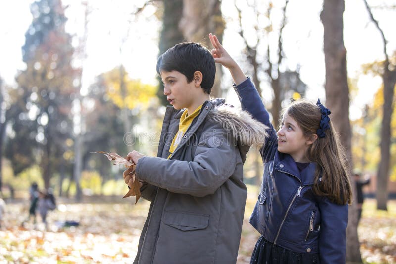 Two brothers in the park stock image. Image of park - 138895251
