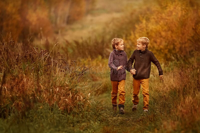 Two Brothers Run through the Grass Stock Photo - Image of cool, hugging ...
