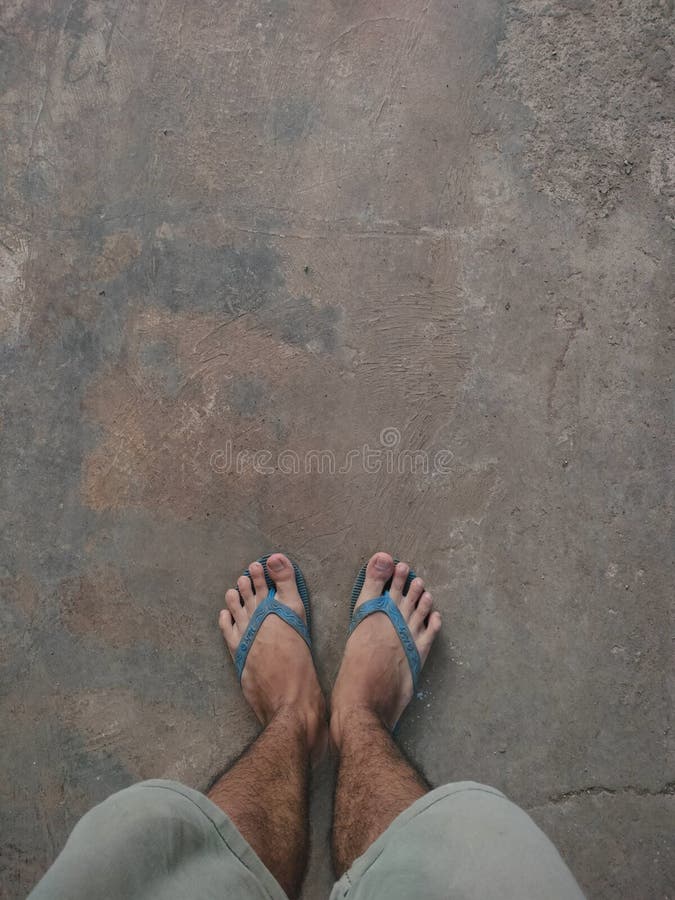 Two brown leg at home stock image. Image of limb, white - 254103383