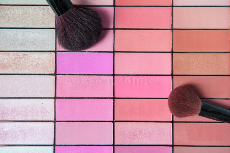 Two Brushes on Make Up Palette Stock Image - Image of item, collection ...