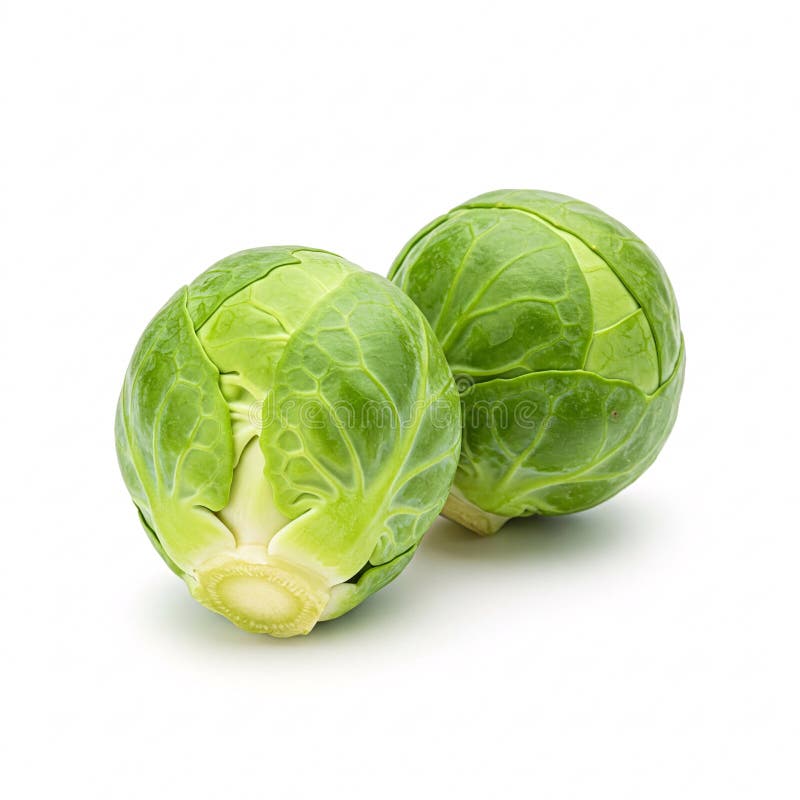 Two Brussels Sprouts with Tightly Packed Leaves, Isolated on White ...