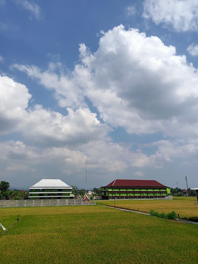 Two Buildings in the Middle of Rice Fields and a Cloudy Blue Sky ...