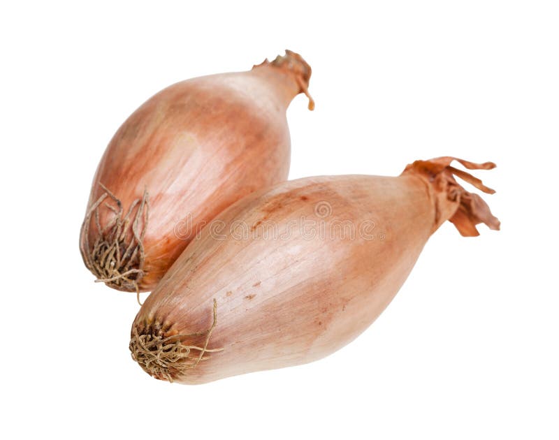 Two Bulbs of Shallot Onion Close-up Isolated Stock Image - Image of ...