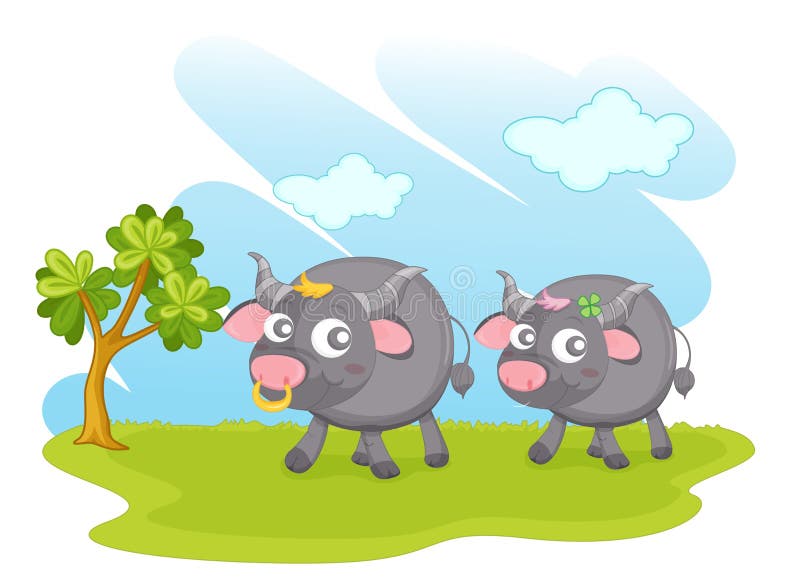 Bulls Picture. Image: 85143