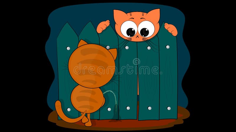 Two Bully Cats on a White Background. Stock Video - Video of cool ...