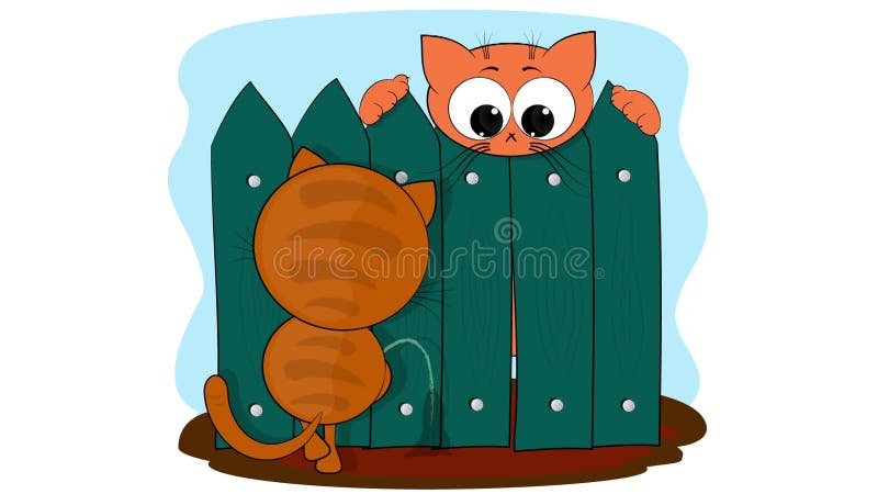 Two Bully Cats on a White Background. Stock Video - Video of cool ...