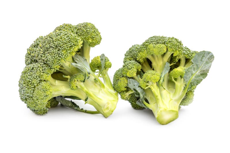 Two Bunch of Broccoli on White Stock Image - Image of cabbage, organic ...