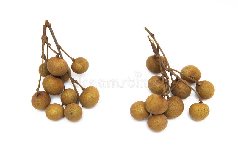 Bunch of Longan Peel on Leaves Stock Photo - Image of bunch, longan ...