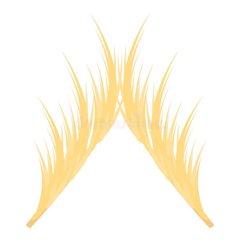 Two Bunches of Dry Golden Wheat Forming a Triangle Shape Stock ...