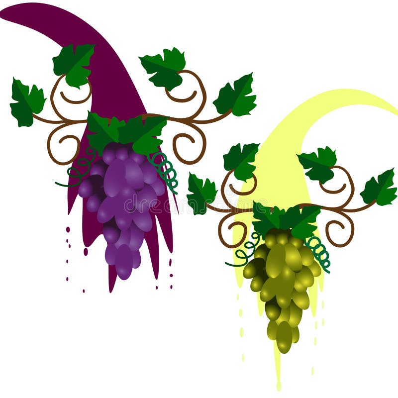 Two Bunches of Grapes Against the Background of Flowing Red and White ...