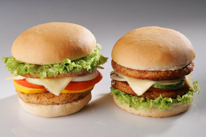Two burgers stock image. Image of cook, cheese, food, burgers - 3152499