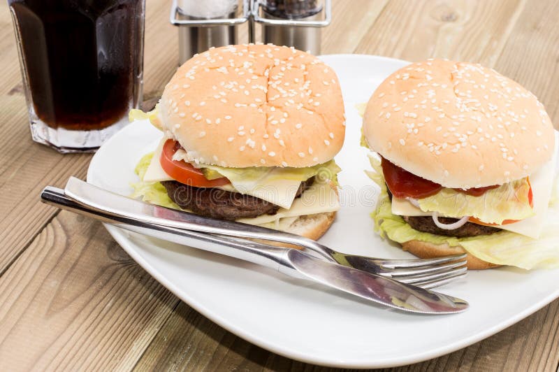 Two Burgers on a plate stock image. Image of hamburger - 29009319