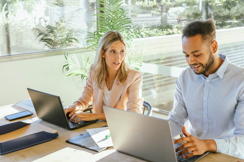 Two Business Co-workers Talking while Working with Their Computers at ...