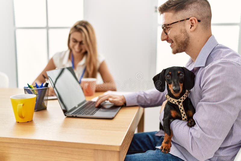 Two Business Workers Smiling Happy Working with Dog at the Office Stock ...