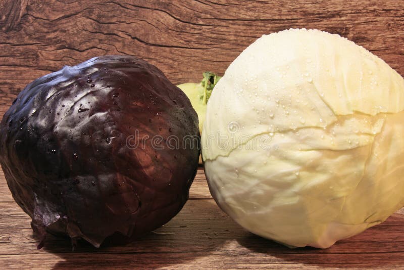 Two cabbages stock photo. Image of cabbages, cruciferous - 37941292