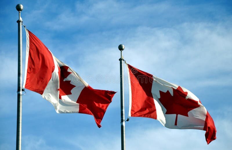 Two Canadian flags stock photo. Image of flags, maple - 38961738