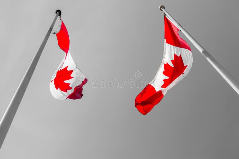 Two Canadian flags stock image. Image of leaf, patriotic - 70623025