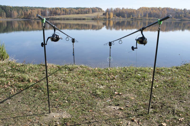 Two Carp Rods are Installed on Stands on the Shore Against the Flat ...