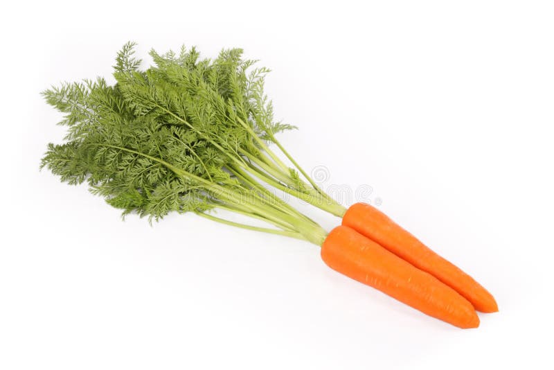 Carrot stock photo. Image of nutrition, produce, ingredient - 13388368