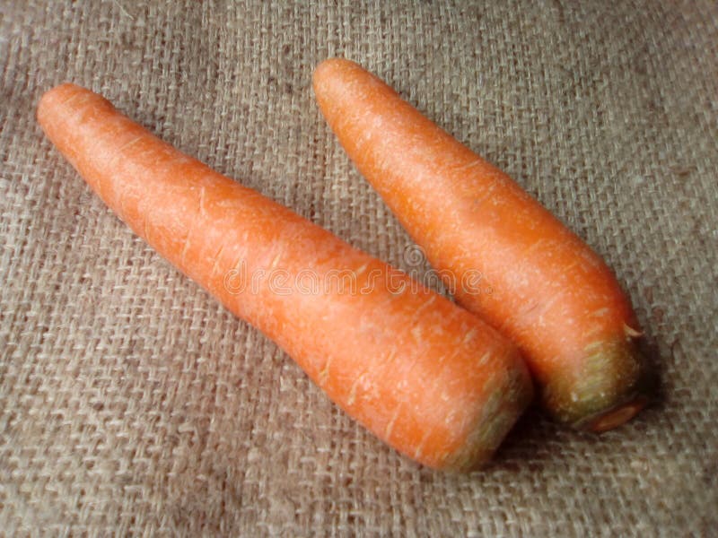 Two Carrots in a Fresh Orange Color Stock Photo - Image of dessert ...