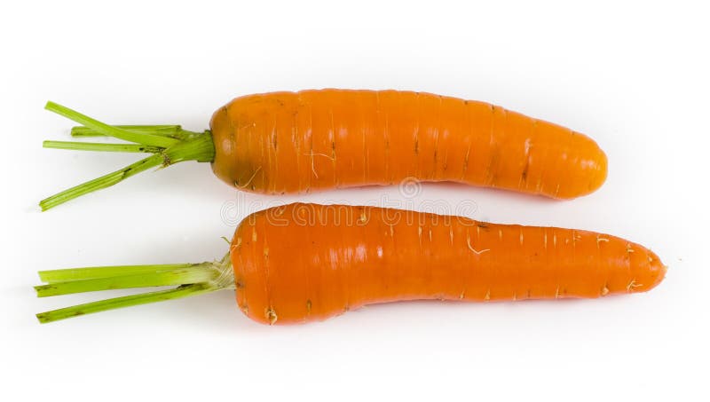 Two carrots stock image. Image of season, vitamins, lunch - 58201903