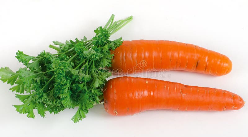 Two carrots stock image. Image of season, vitamins, lunch - 58201903
