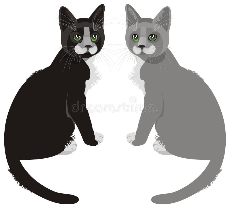 Two cats stock vector. Illustration of black, child, couple - 21992864