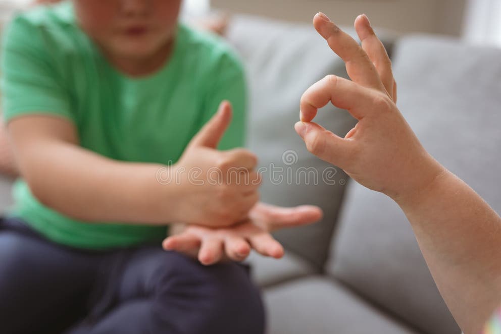 Two Caucasian Boys Communicating Using Sign Language while Sitting on ...