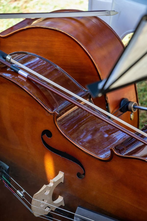 Two cellos stock photo. Image of orchestral, color, jazz - 196260442
