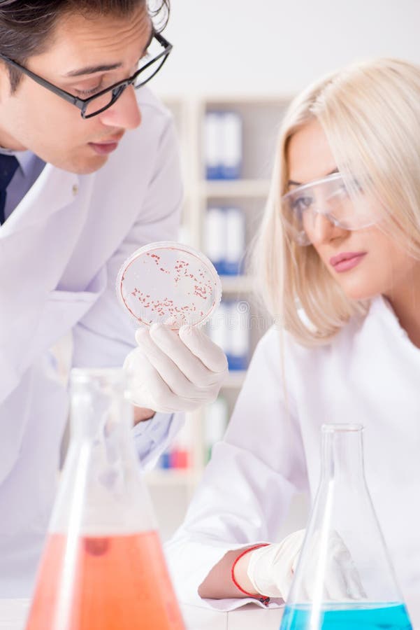 The Two Chemists Having Discussion in Lab Stock Photo - Image of health ...