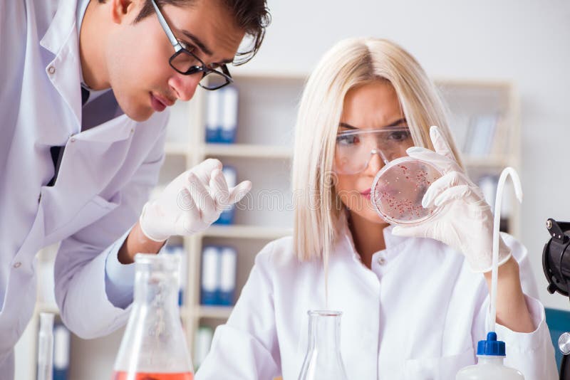 The Two Chemists Having Discussion in Lab Stock Photo - Image of ...