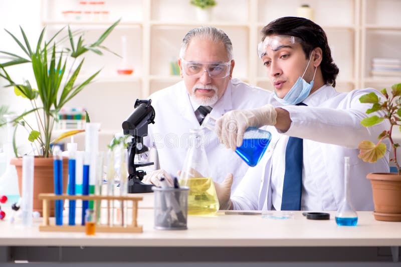 The Two Chemists Working in the Lab Stock Image - Image of researcher ...