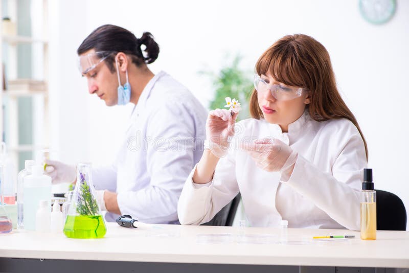 Two Chemists Working in the Lab Stock Photo - Image of experiment ...