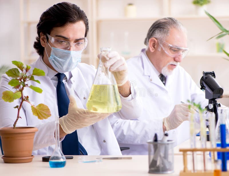 Two Chemists Working in the Lab Stock Image - Image of plant, herbs ...