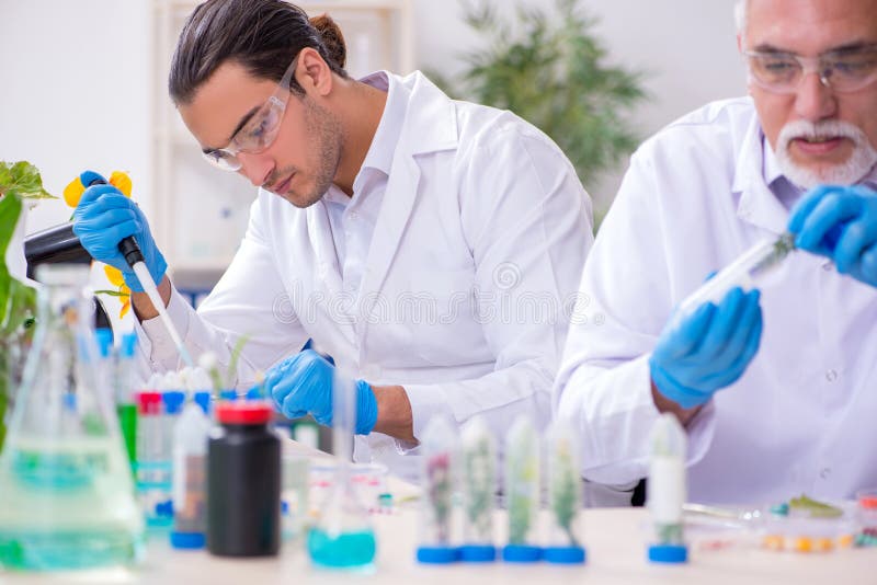 Two Chemists Working in the Lab Stock Image - Image of doctor ...