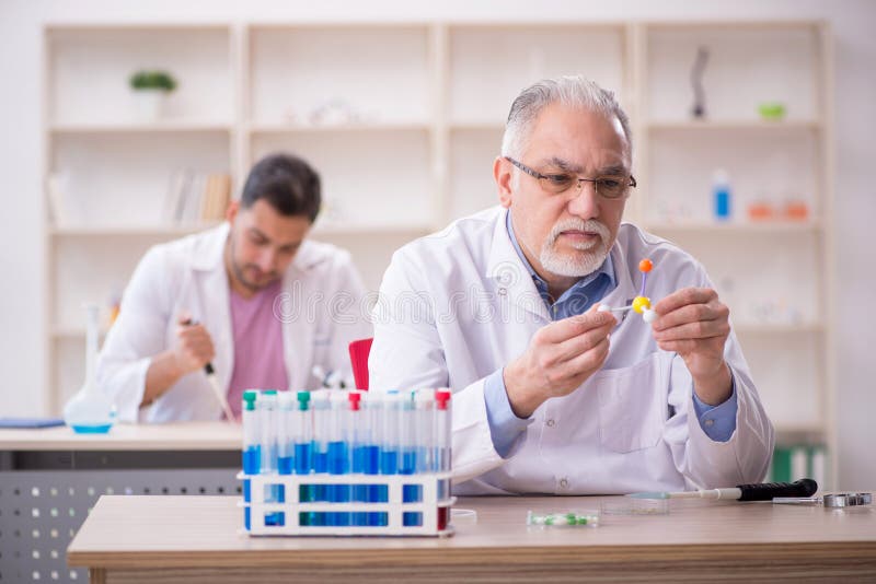 Two Male Chemists Working at the Lab Stock Image - Image of experiment ...