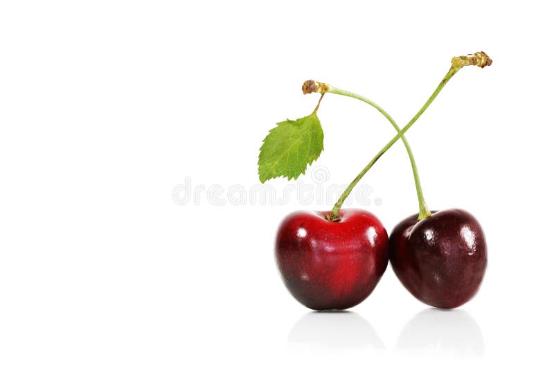 Two cherries stock photo. Image of juicy, drop, berry - 19673110