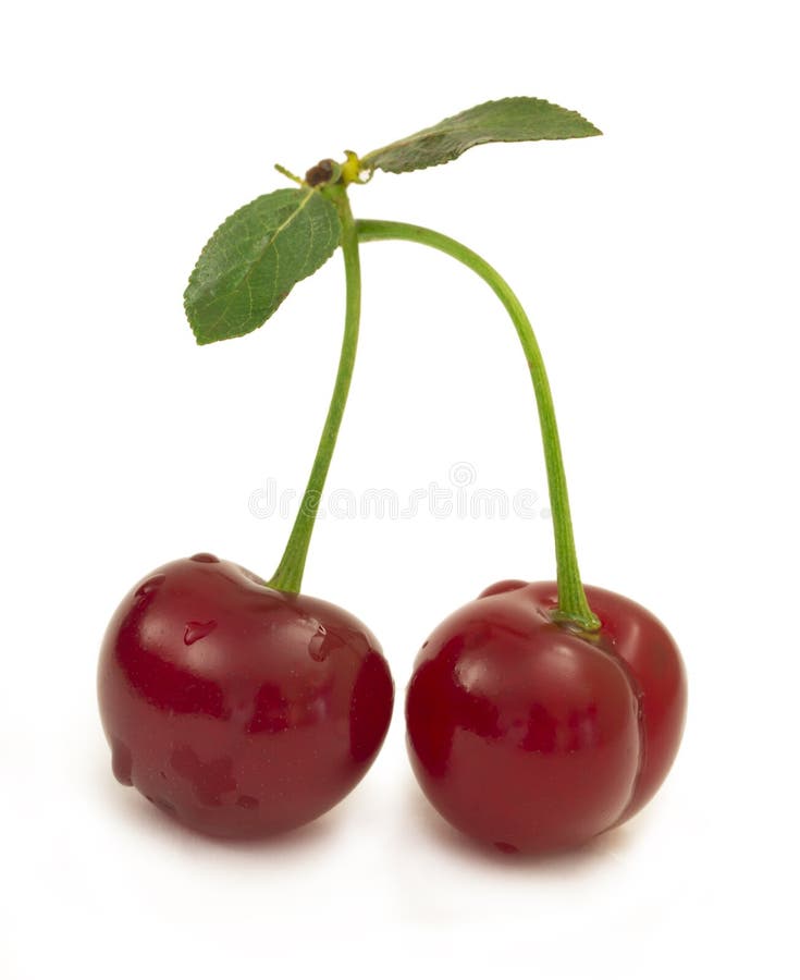 Two cherries stock image. Image of leaves, mellow, cherry - 20014251